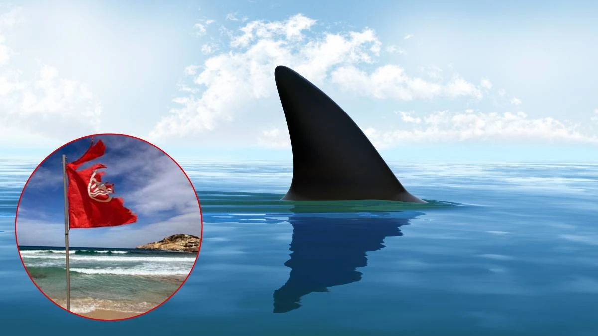 Turystka zaatakowana przez rekina w Morzu Śródziemnym